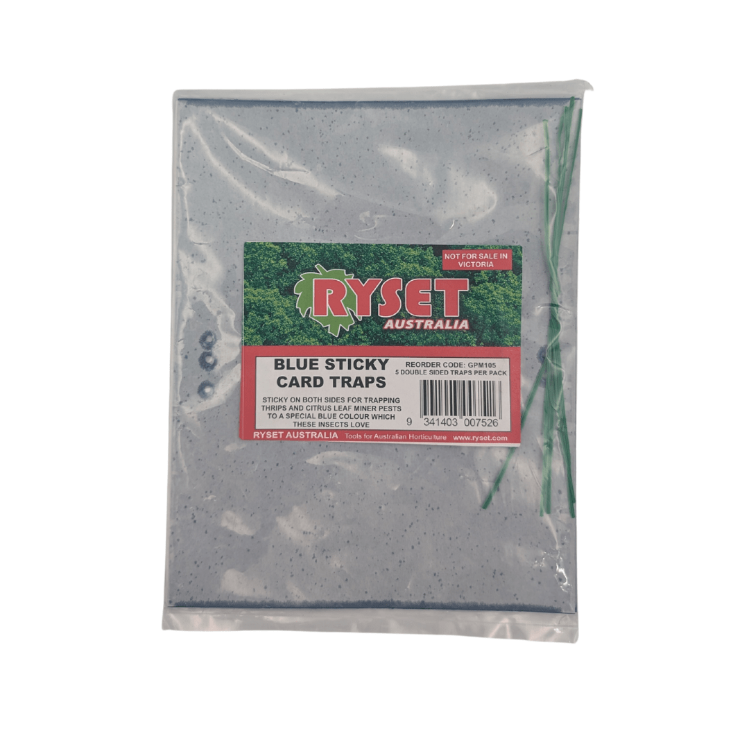 Blue Sticky Pest Trap (Thrips & Leaf Miners)