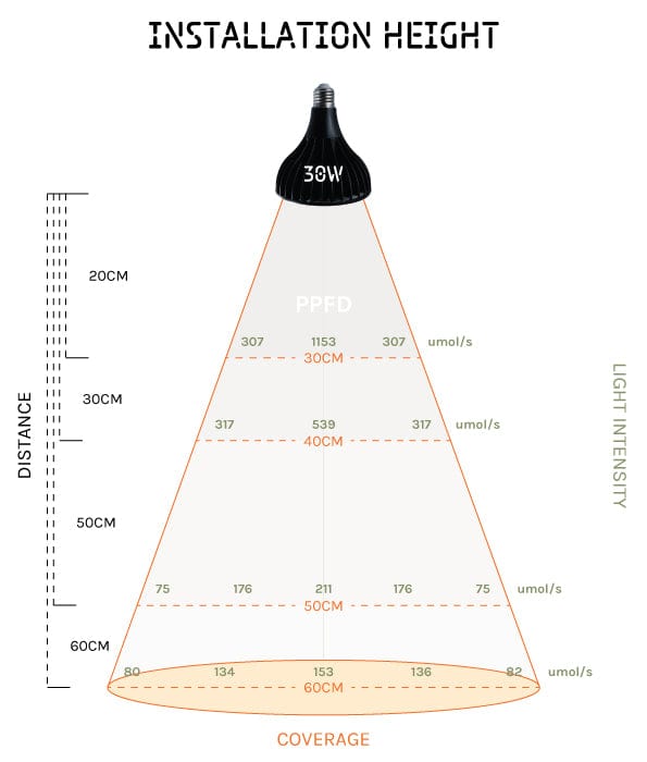 Treeger LED Light Bulb (Fits regular fittings!) 15W/30W