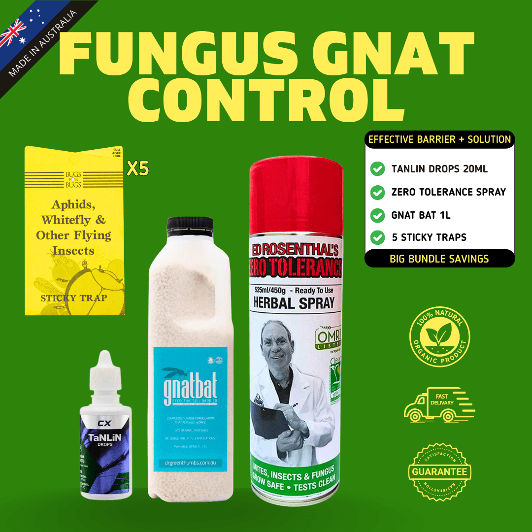 Fungus Gnat Control - Safe & Effective Solutions