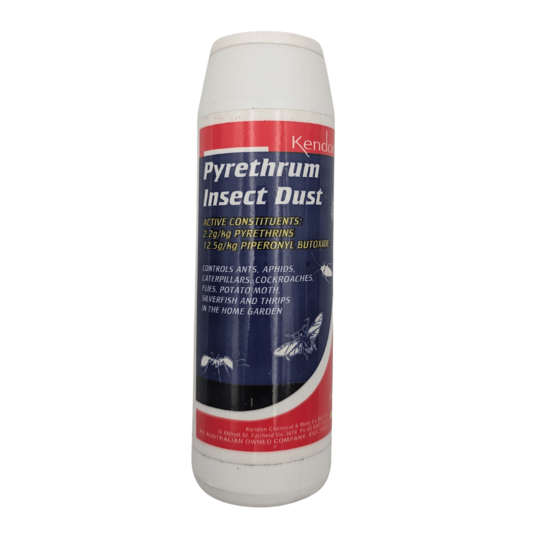 Pyrethrum Insect Dust 300g Shaker