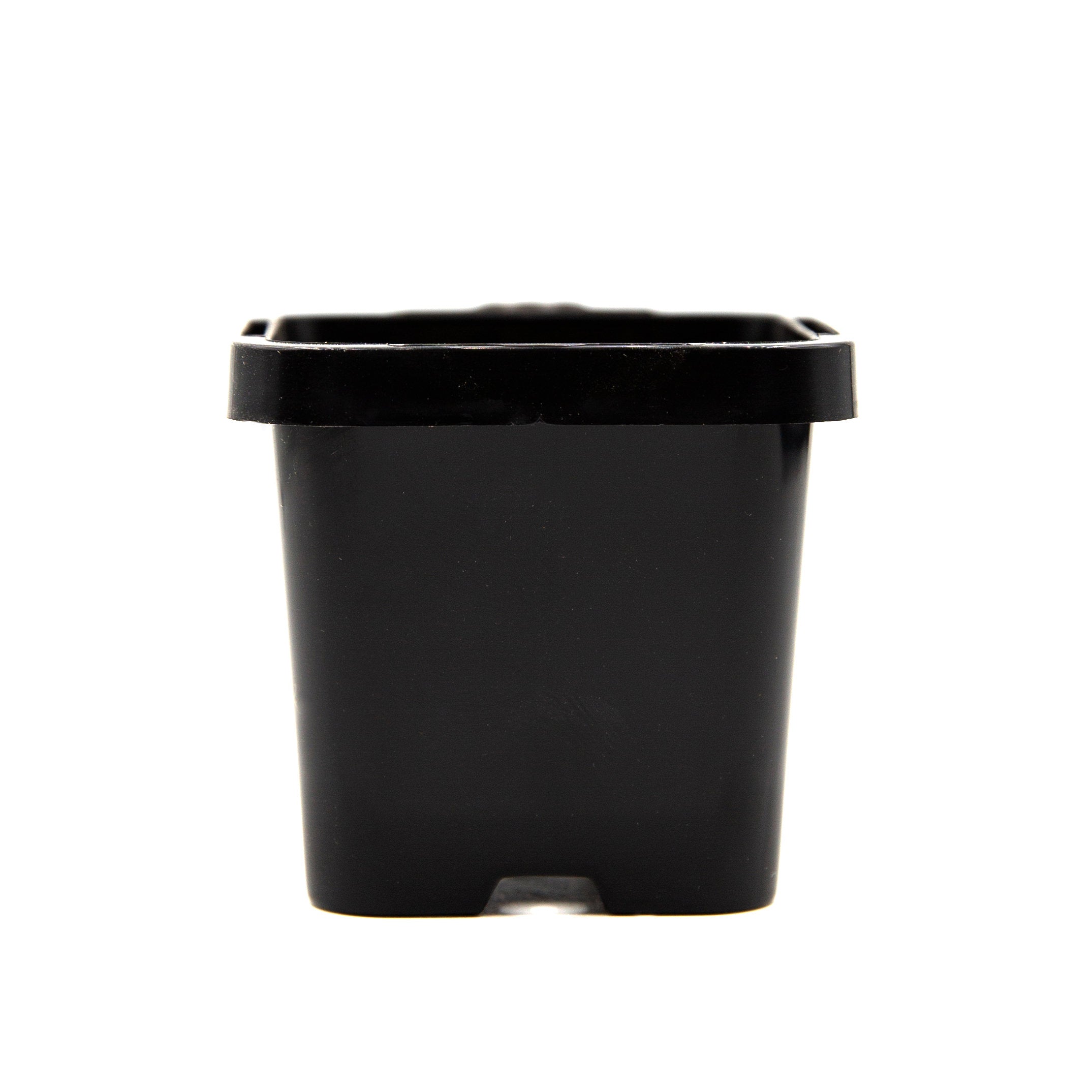 66mm Square Pot
