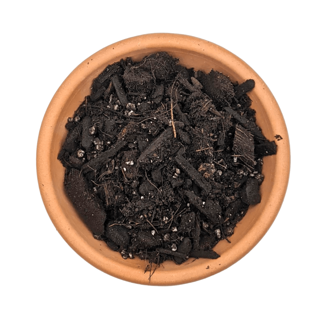 GreenSpace Potting Mix for Indoor & Garden Plants